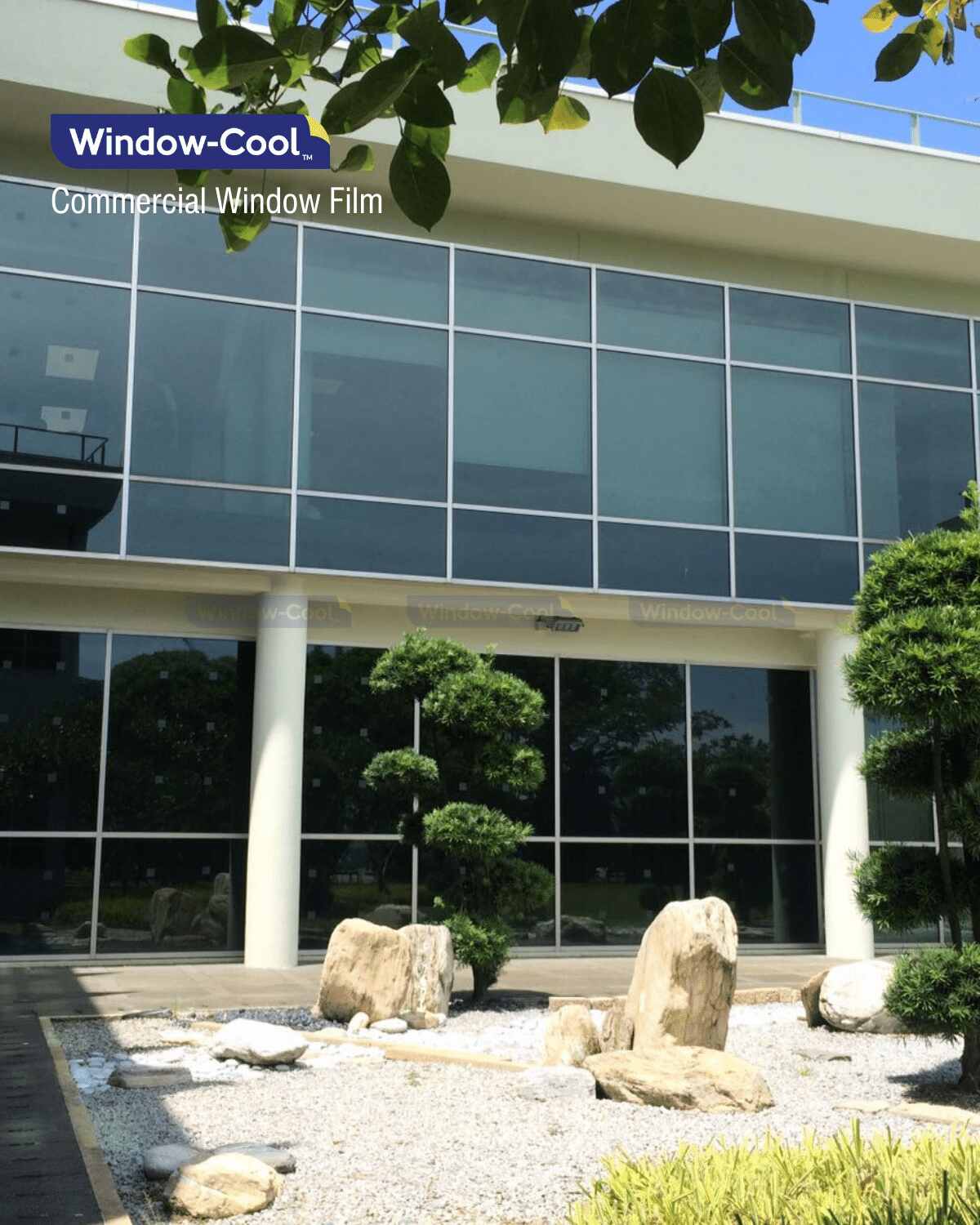 Window Films and Blinds Photo Gallery - Window Treatments